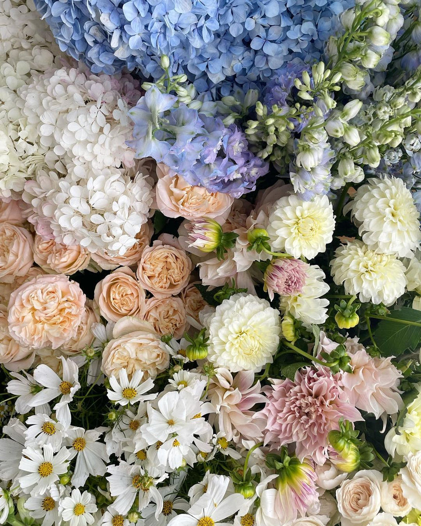 Alben Lane Candle Co.